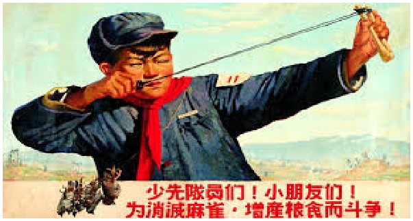 Impact of Chinese Four Pests Campaign and Importance of Ecosystem ...